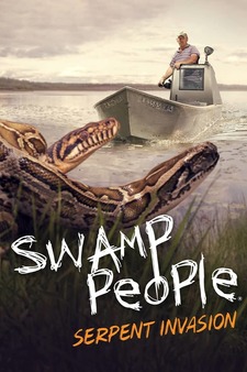 BINGE - What to Watch